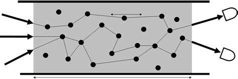 Color Online Sketch Of Propagation Through A Disordered Waveguide Of