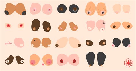 Different Types Of Boobs And Nipples