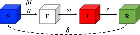 Compartment Diagram Of The Seirs Model Where S E I And R Are The Download Scientific