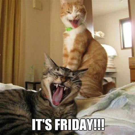 80 Its Friday Memes In 2019