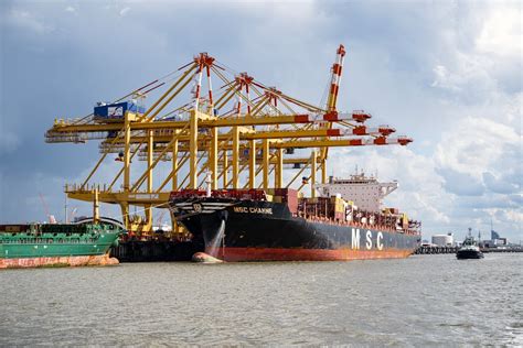 Container Ship Msc Photos Download The Best Free Container Ship Msc