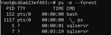 Navigate Linux For Sql Server Dbas Simple Talk