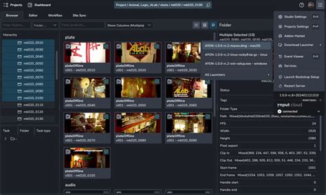 introducing ayon advancing creative workflows for animation and vfx pipelines befores and afters