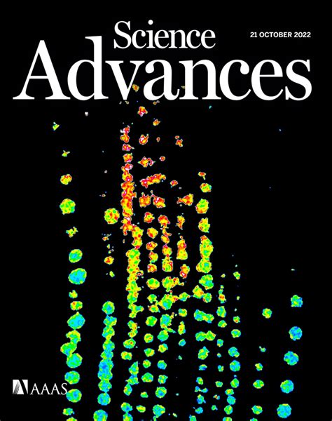 How To Make Causal Inferences Using Texts Brandon Stewart