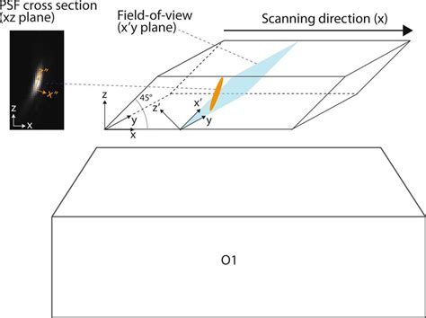 Coordinate System Of The Microscope The Objective Front Lens Is