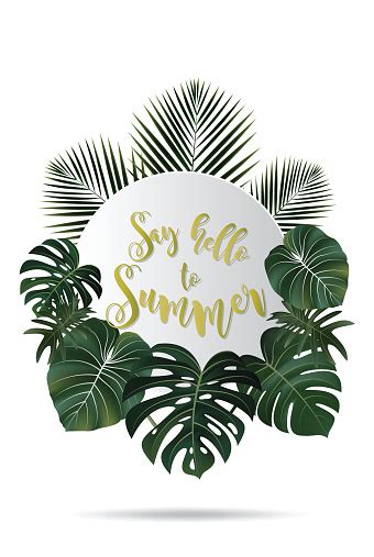 여름 시즌 포스터 디자인입니다 열 대 잎 배경 파라다이스 글에서 길을 잃었다 개념에 대한 스톡 벡터 아트 및 기타 이미지 개념 계절 관광객 Istock