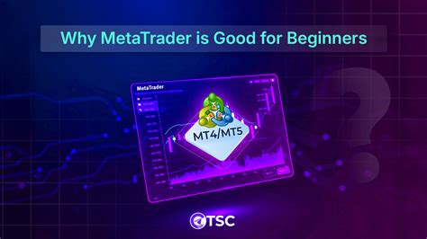 Why Is Metatrader Good For Beginners In 2025 Review And Insights