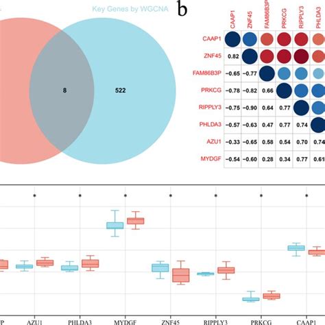 Candidate Genes Selection Correlation Analysis And Differential