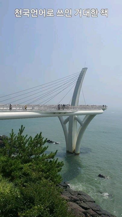 천국언어로 쓰인 거대한 책 Youtube