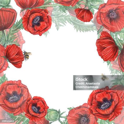 프로방스 양귀비 꽃의 사각형 프레임 빨간 꽃으로 수채화 식물 식물 프렌치 스타일 초원 식물 텍스트를 위한 장소가 있는 화환입니다