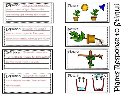 Chapter 1 Stimulus And Responses Worksheet Worksheets Library