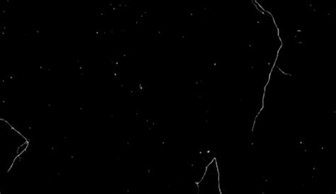 Background  Black Black Background  Gratuit Fbpct
