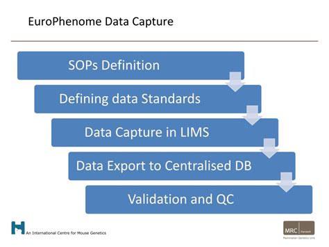 Ppt Mining Phenotype Databases To Identify Mouse Models Of Clinical Relevance Powerpoint