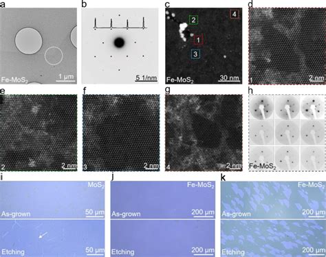 multiscale characterizations of the single crystal feature of