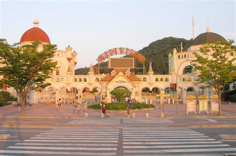 대전 가볼만한 곳 불꽃이 예쁜 까오유아숲체험원 까오근린공원 히가시하루도 추천 느린거북