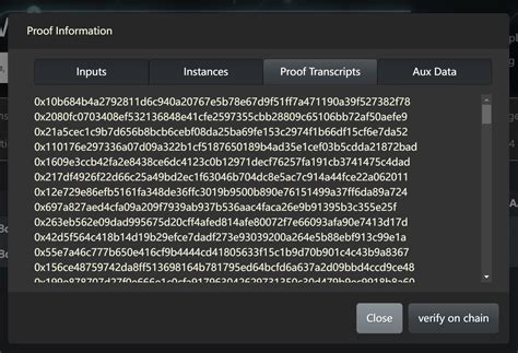 Delphinus Tutorial 1 Create Your First Zkwasm Application Delphinus Lab