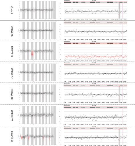 The Copy Number Profiles After Low Pass Whole Genome Sequencing Of