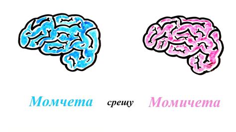 Ментална аритметика AМАКids Варна КАК ПОЛЪТ НА ДЕТЕТО СЕ ОТРАЗЯВА НА РЕЗУЛТАТИТЕ В