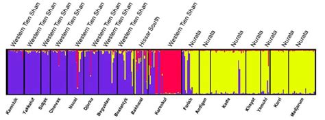Population Structure Inference For Uzbek Walnut Samples Using Structure