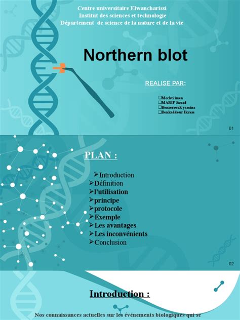 Northern Blot Pdf Répertoire National Des Associations Northern Blot