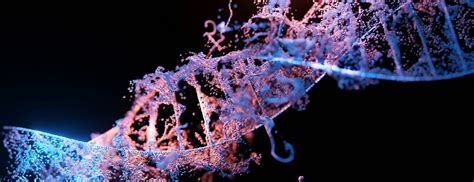 Music Metadata Your DNA In Distribution Platforms Distromono