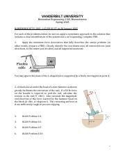 Mastering Biomechanics: Homework Set E Solutions Guide | Course Hero