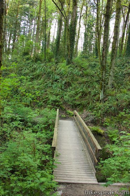 Marquam Nature Park Portland