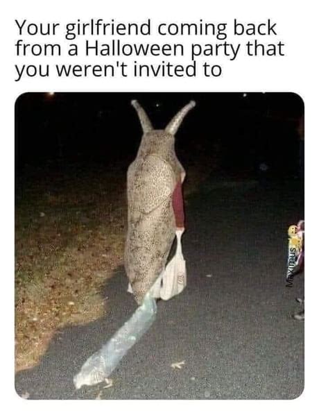 Snail Trail Memes Immortal Snail Know Your Meme