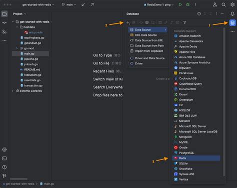 Redis GoLand JetBrains Guide