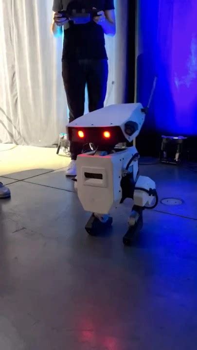 [video] mohamed ali hafez on linkedin ai robotics learning reinforcementlearning robots