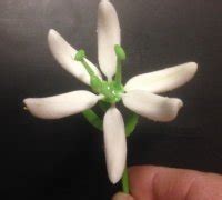 Pollination D Models To Print Yeggi