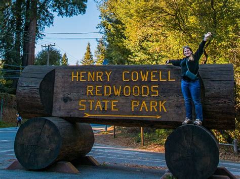 Henry Cowell State Park Redwood Grove Loop Trail — Bmore Rosie