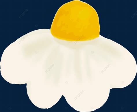 Daisy Flower Watercolor Vector Daisies Daisy Watercolor Flowers Png And Vector With