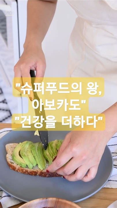 슈퍼푸드 아보카도 Youtube