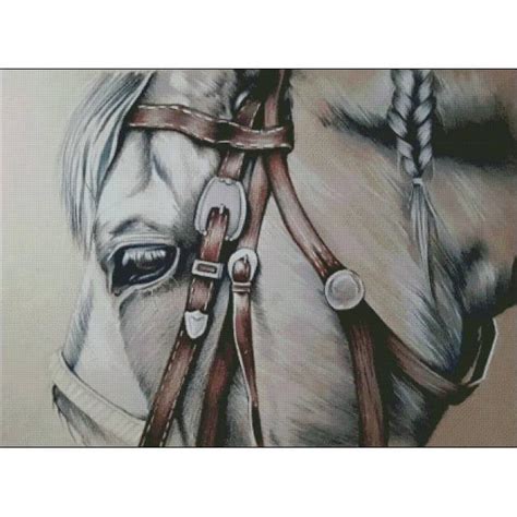 My Sweet Grey Kaitlyn Lentz