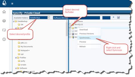 Selective Synchronization From The Server Side