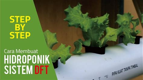 Cara Membuat Hidroponik Sistem Dft Hidroponikpedia