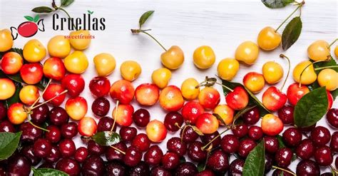 Tipos Y Variedades De Cerezas Más Comunes En Aragón Variedades De