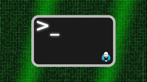 Guida Ai Comandi Del Terminale Linux E Mac Os Con Esempi Progressify