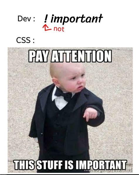 For Css ·