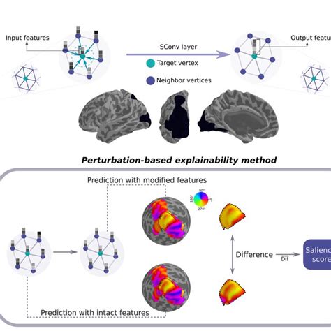 perturbation based explainability method for modality transfer tasks