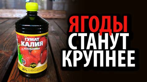 Жидкое удобрение МЕРА Гумат Калия Клубника 25% фульвокислот 1л - YouTube