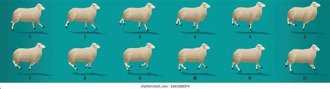 Black Sheep Run Cycle Animation Frames Stockvector Rechtenvrij 1663854772 Shutterstock
