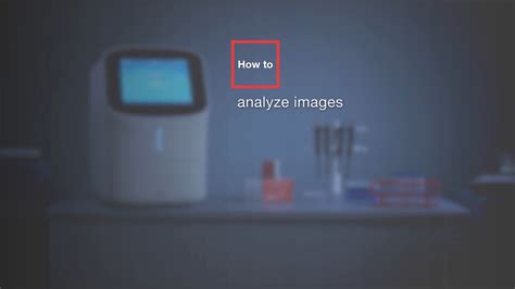 Analyze Images Quickly With Invitrogen Ibright Imaging Systems Scientific Videos Thermo