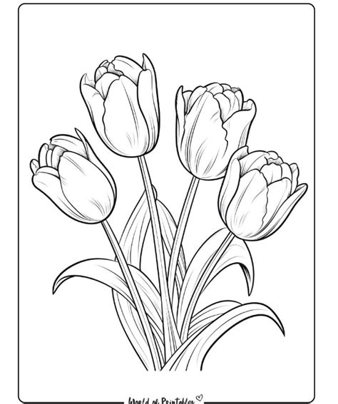 How To Draw Tulips Easy Step By Step Tutorial For Beginners Artofit
