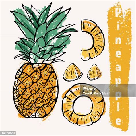 파인애플 라인 아트와 컬러 핸드 그린 벡터 일러스트레이션 거친 크레용 스트로크 낙서 에 A 표현 느슨한 색칠 공부 책 스타일