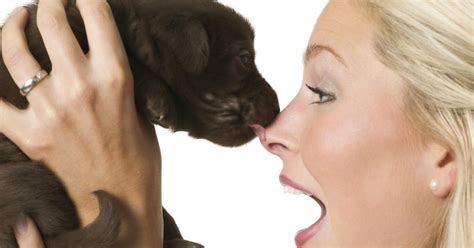 What Does It Mean When A Dog Licks You
