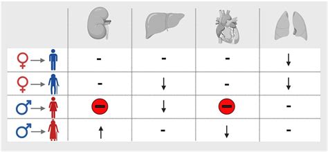 Frontiers The Combinatorial Effect Of Age And Biological Sex On Alloimmunity And