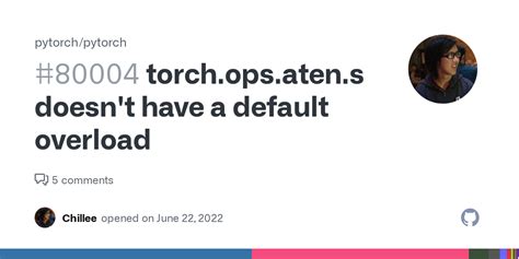 torch ops aten stride doesn t have a default overload · issue 80004