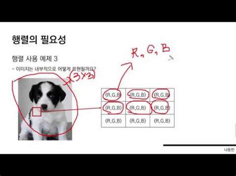 행렬의 필요성 Python 데이터 분석과 이미지 처리 YouTube